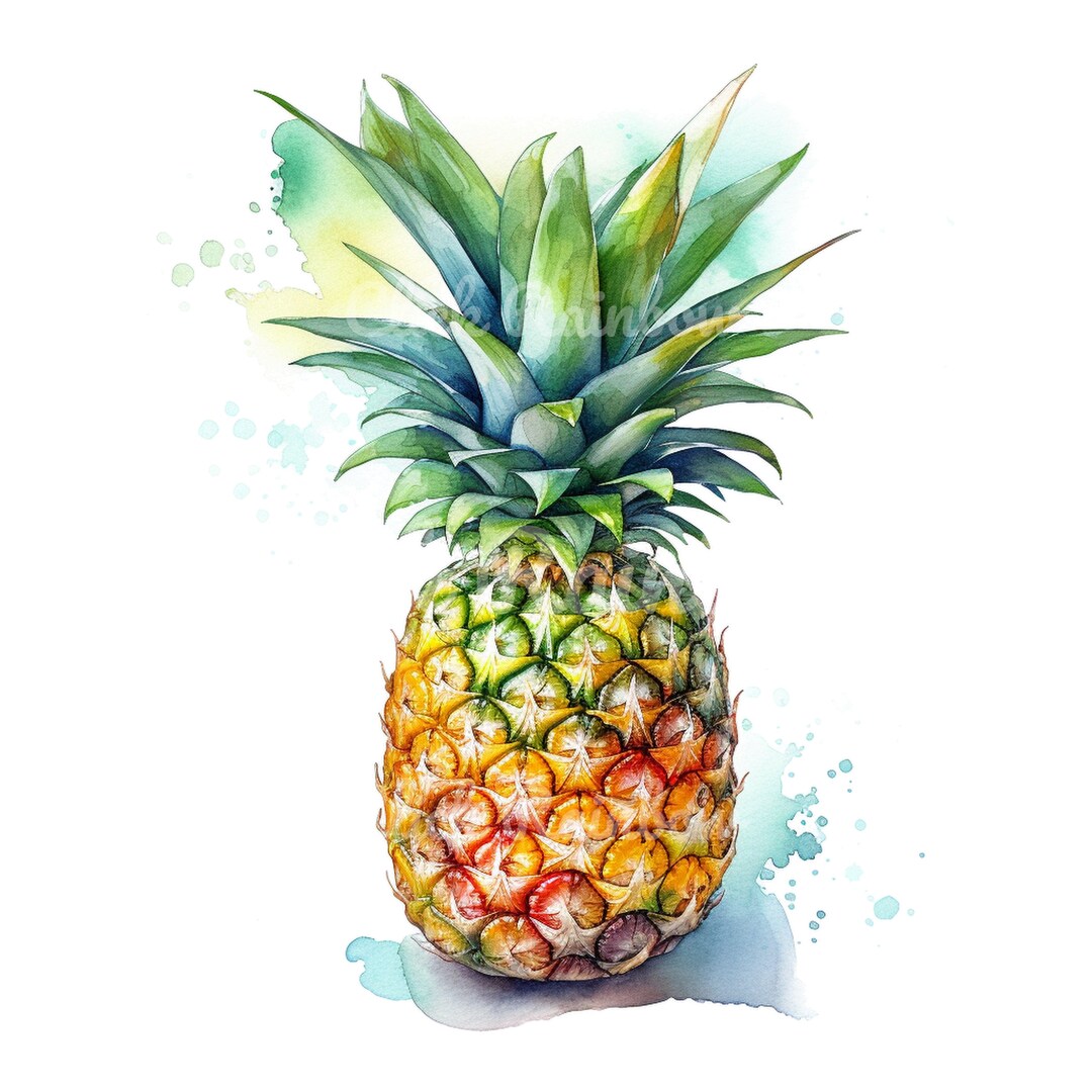 Pineapple Watercolor Clipart: 12 PNG Illustrations (digital Download ...