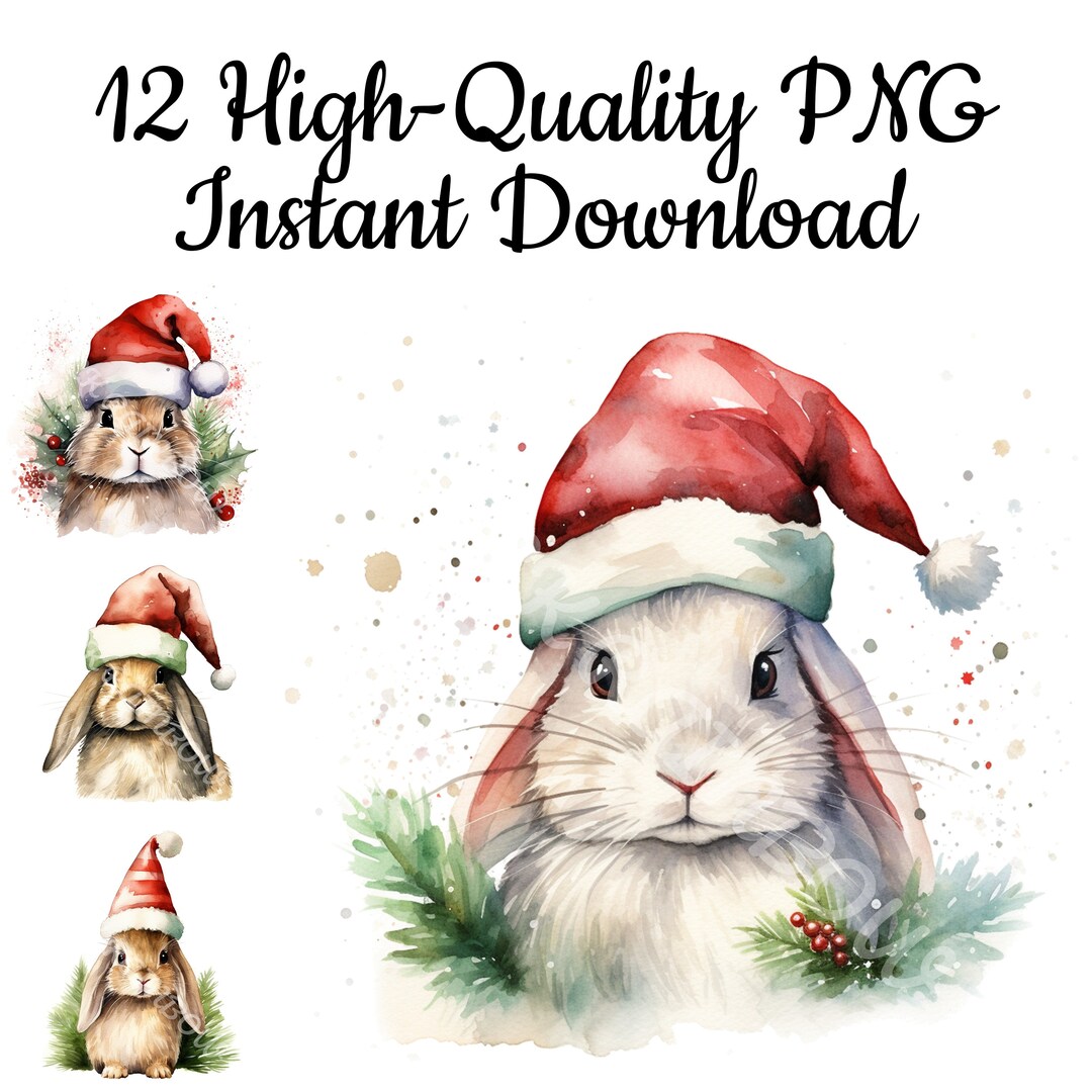 Bunny With Santa Hat Clipart, 12 Christmas Bunny PNG, Christmas Bunny ...
