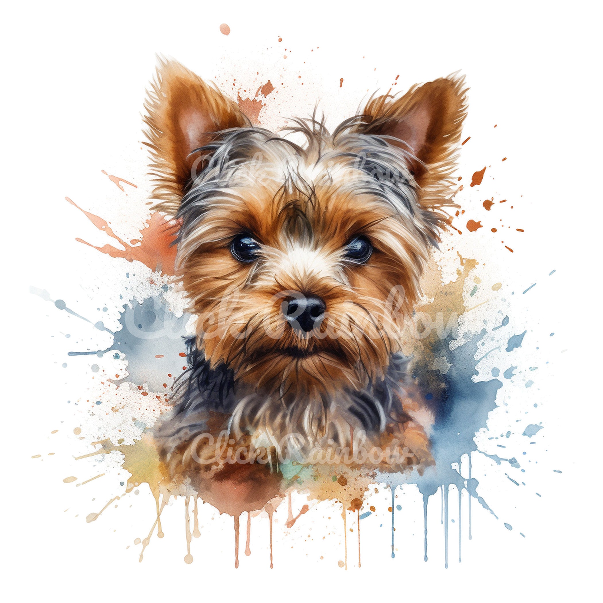Yorkshire Terrier Puppy Clipart, 12 Yorkie PNG, Yorkie Illustration ...