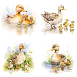 Ducklings Clipart 12 High-quality PNG Baby Duck Printable - Etsy