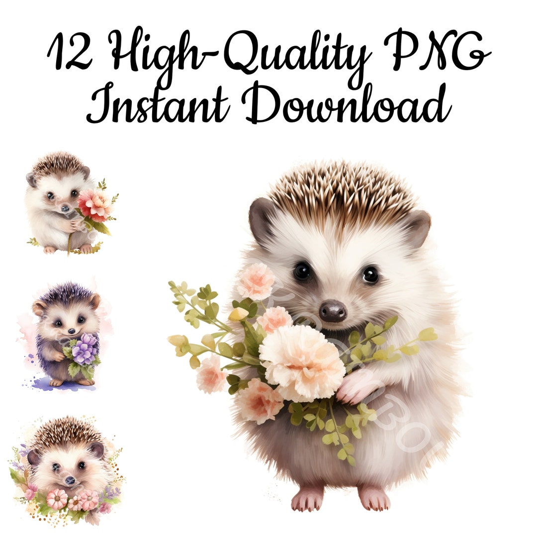 Süße Igel Clipart, 12 Igel PNG, Igel mit Blumen Illustration, Igel ...
