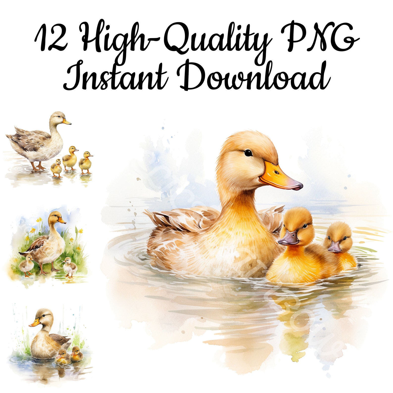Ducklings Clipart 12 High-quality PNG Baby Duck Printable - Etsy