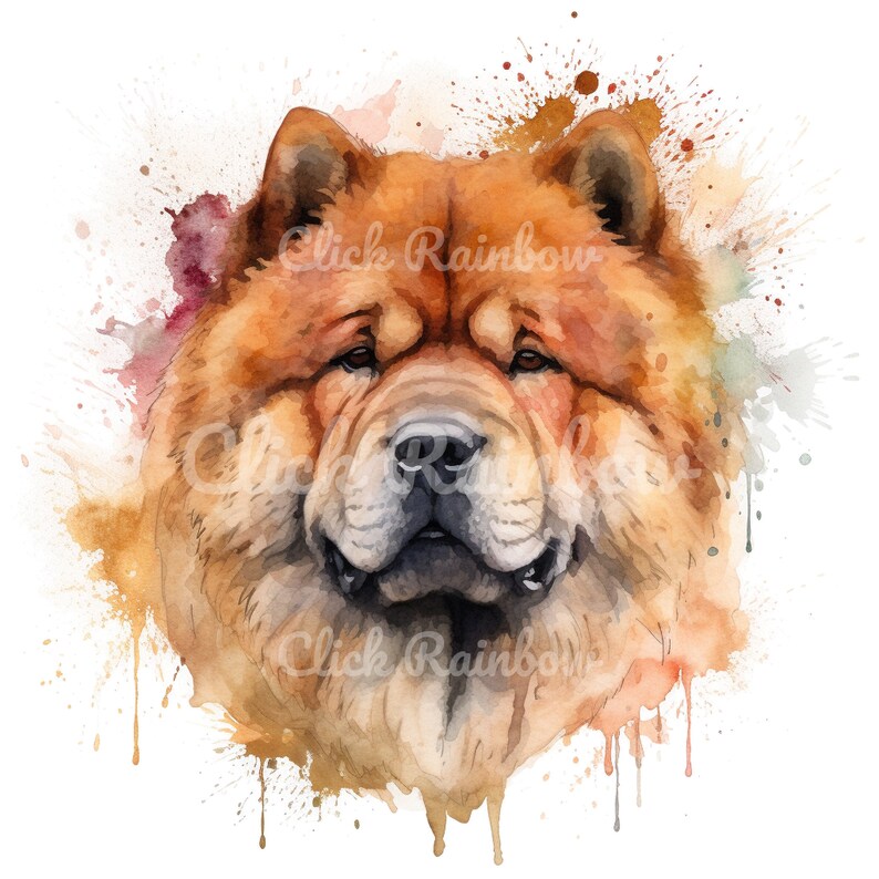Chow Chow Clipart, 12 Chow Chow PNG, Chow Chow Wall Art, Chow Chow ...