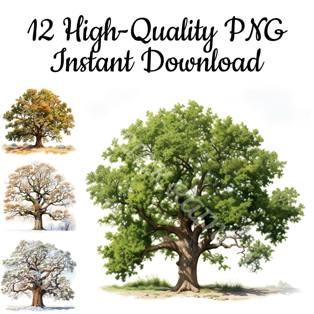 Oak Tree Clipart, 12 Oak Tree PNG, Oak Tree Watercolor, Oak Tree Art Print, Oak Tree Digital Art ...