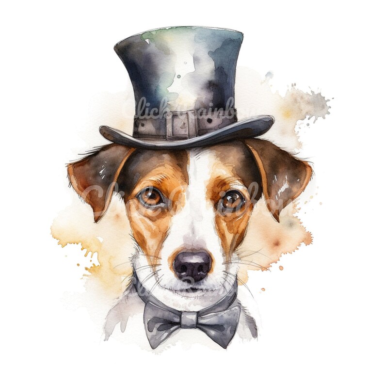 Dandy Dog Clipart 12 High-quality PNG Funny Dog Art Bundle - Etsy