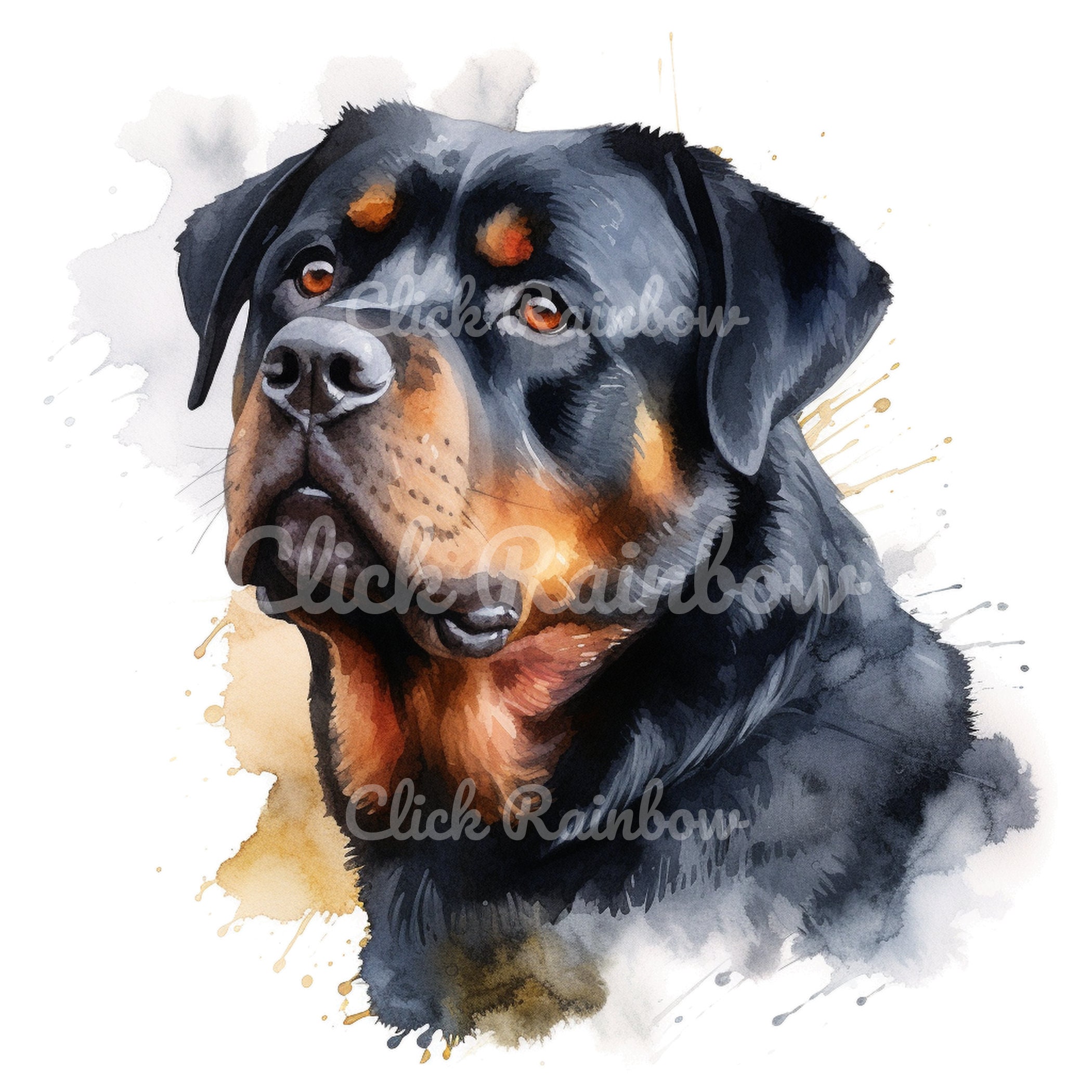 Rottweiler Clipart, 12 Rottweiler PNG, Rottweiler Canvas, Rottweiler ...
