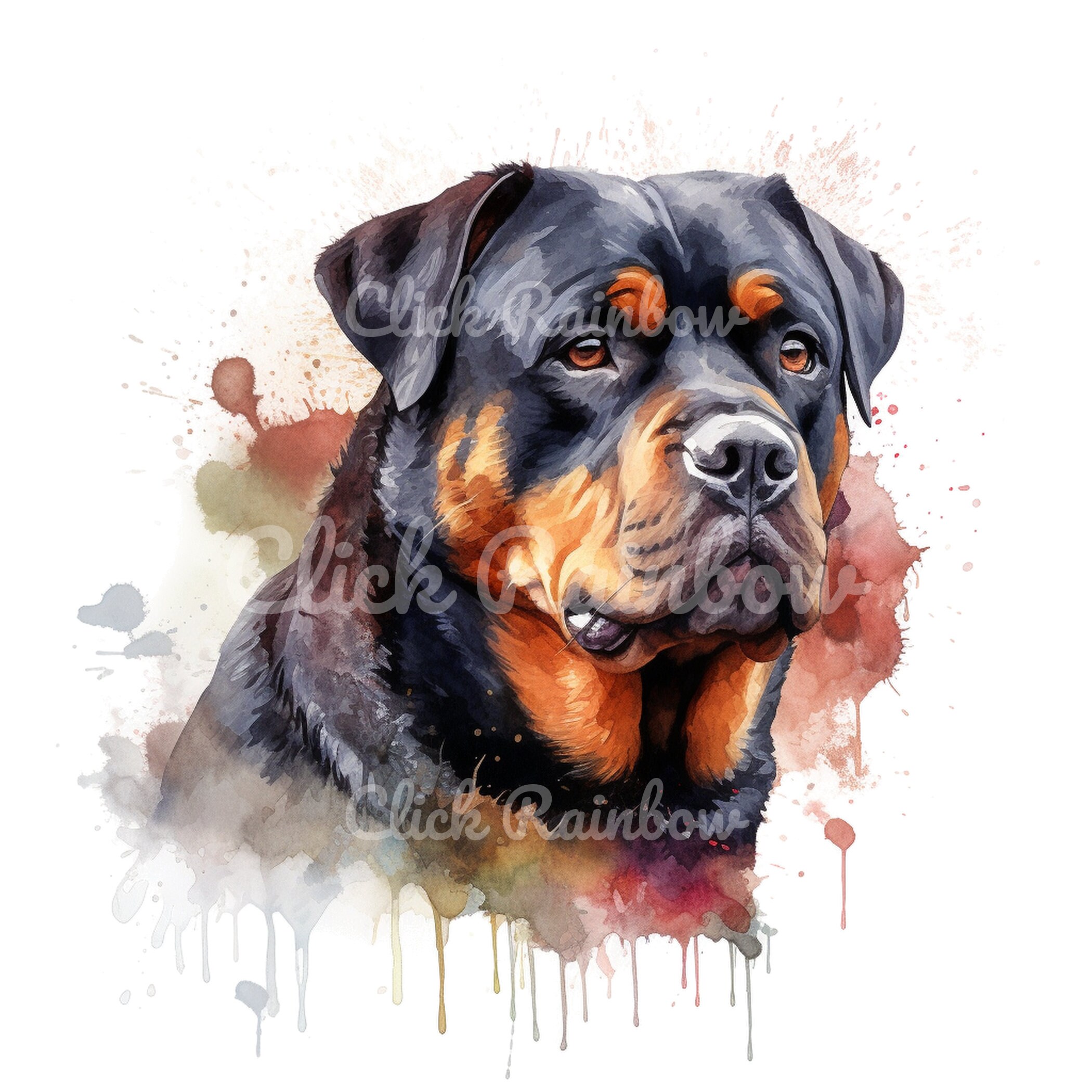 Rottweiler Clipart, 12 Rottweiler PNG, Rottweiler Canvas, Rottweiler ...