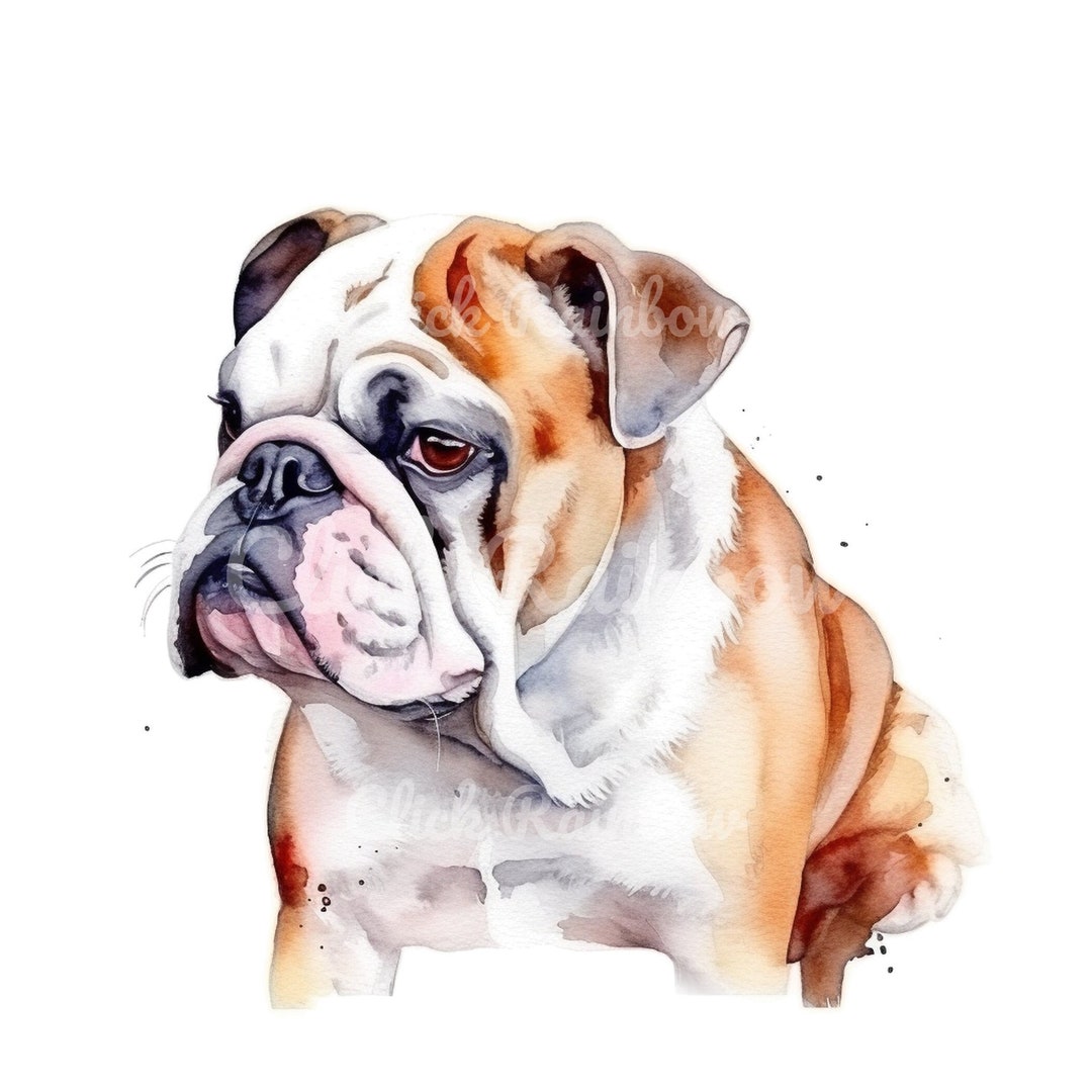 Bulldog Clipart, 12 Bulldog PNG, Bulldog Watercolor, Bulldog ...