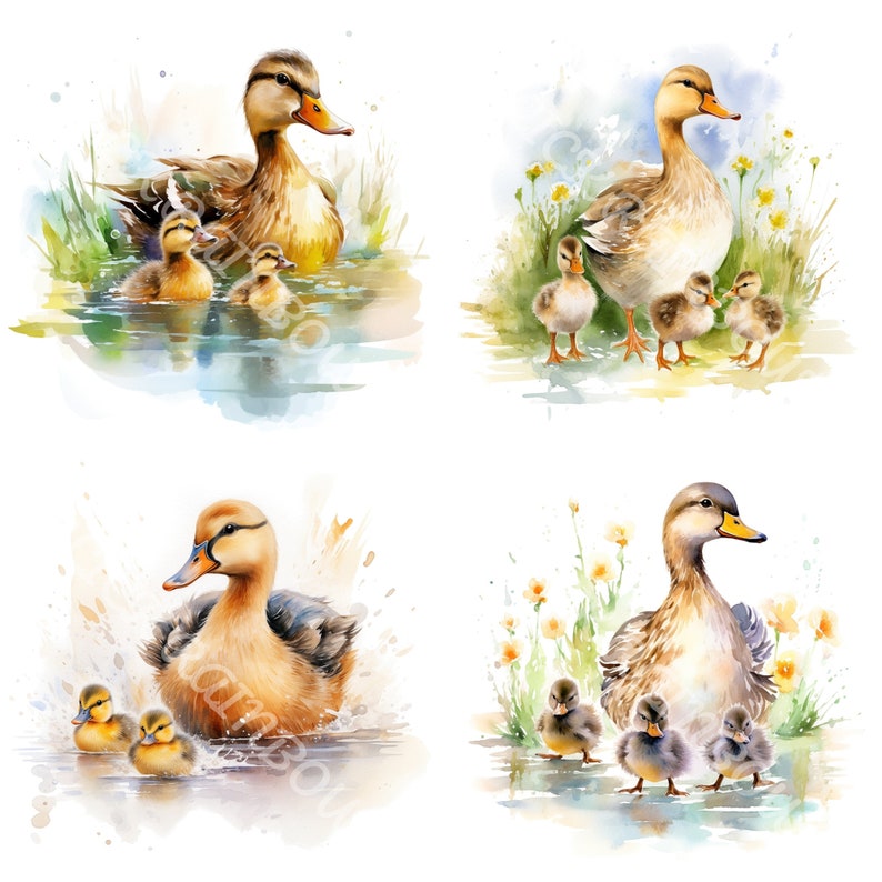 Ducklings Clipart 12 High-quality PNG Baby Duck Printable - Etsy