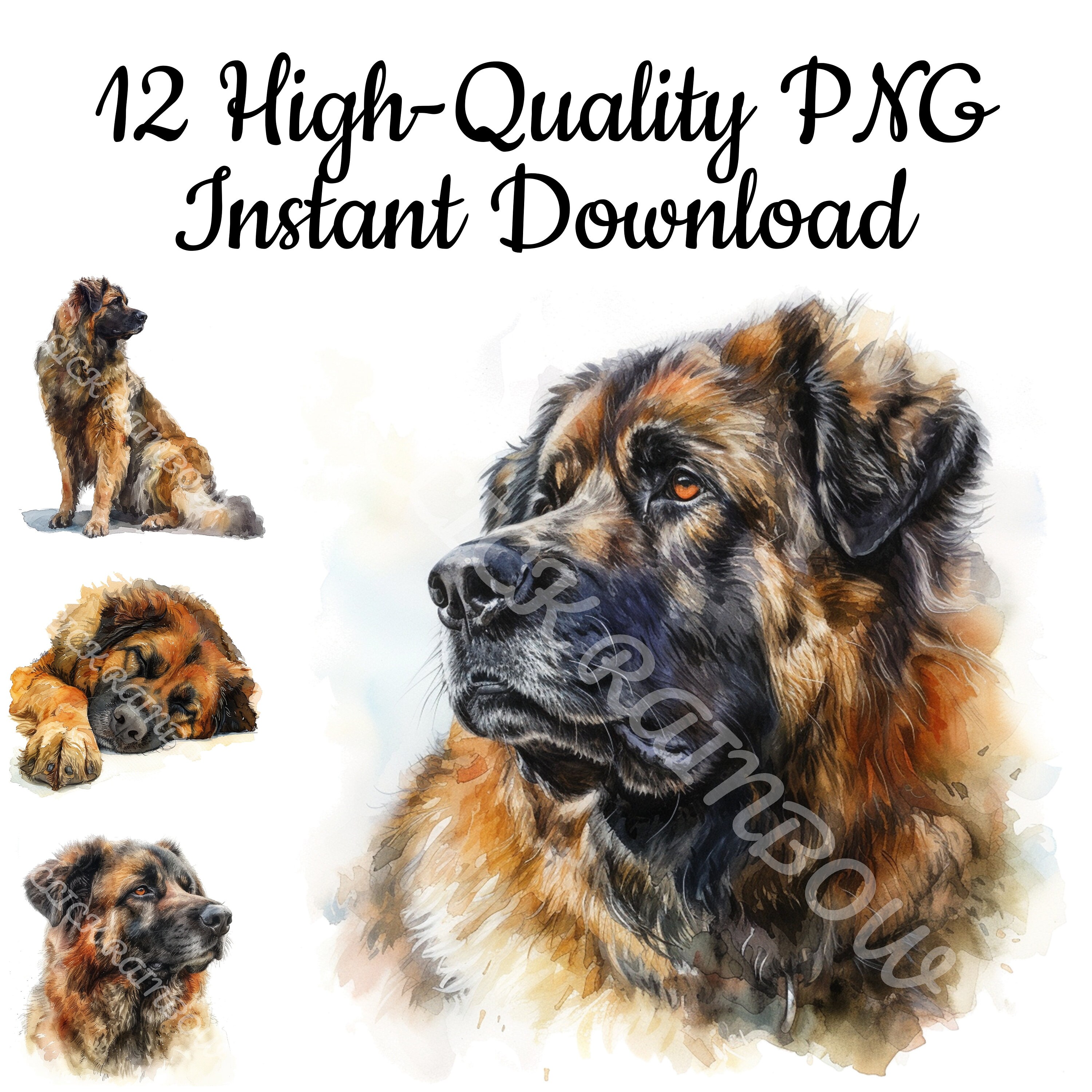 Leonberger Clipart, 12 Leonberger PNG, Leonberger Illustration ...