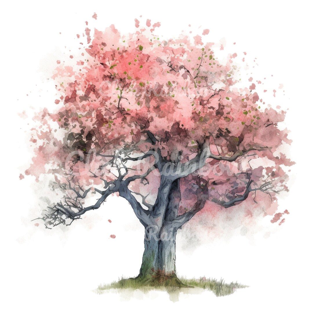 Cherry Blossom Tree Clipart, 12 Cherry Tree PNG, Cherry Tree Painting ...