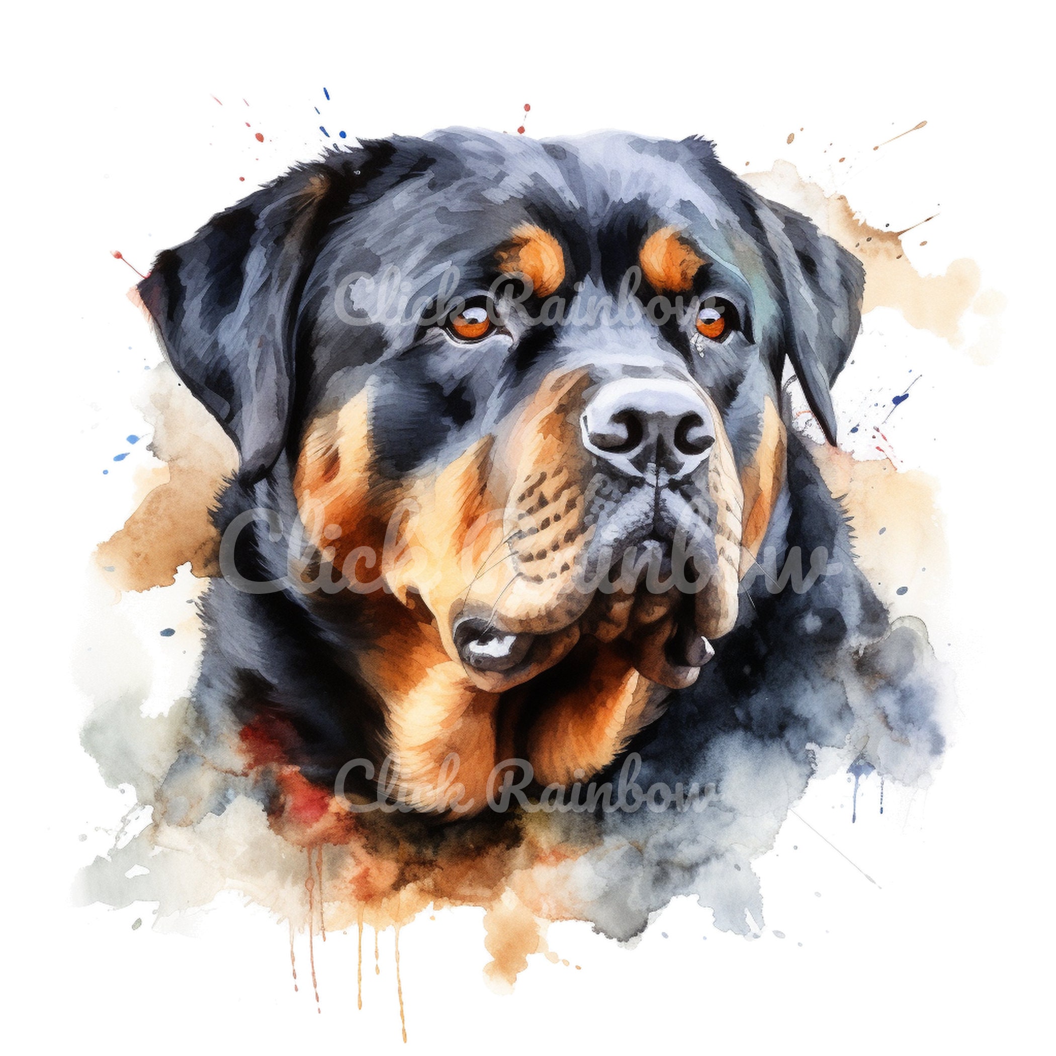 Rottweiler Clipart, 12 Rottweiler PNG, Rottweiler Canvas, Rottweiler ...