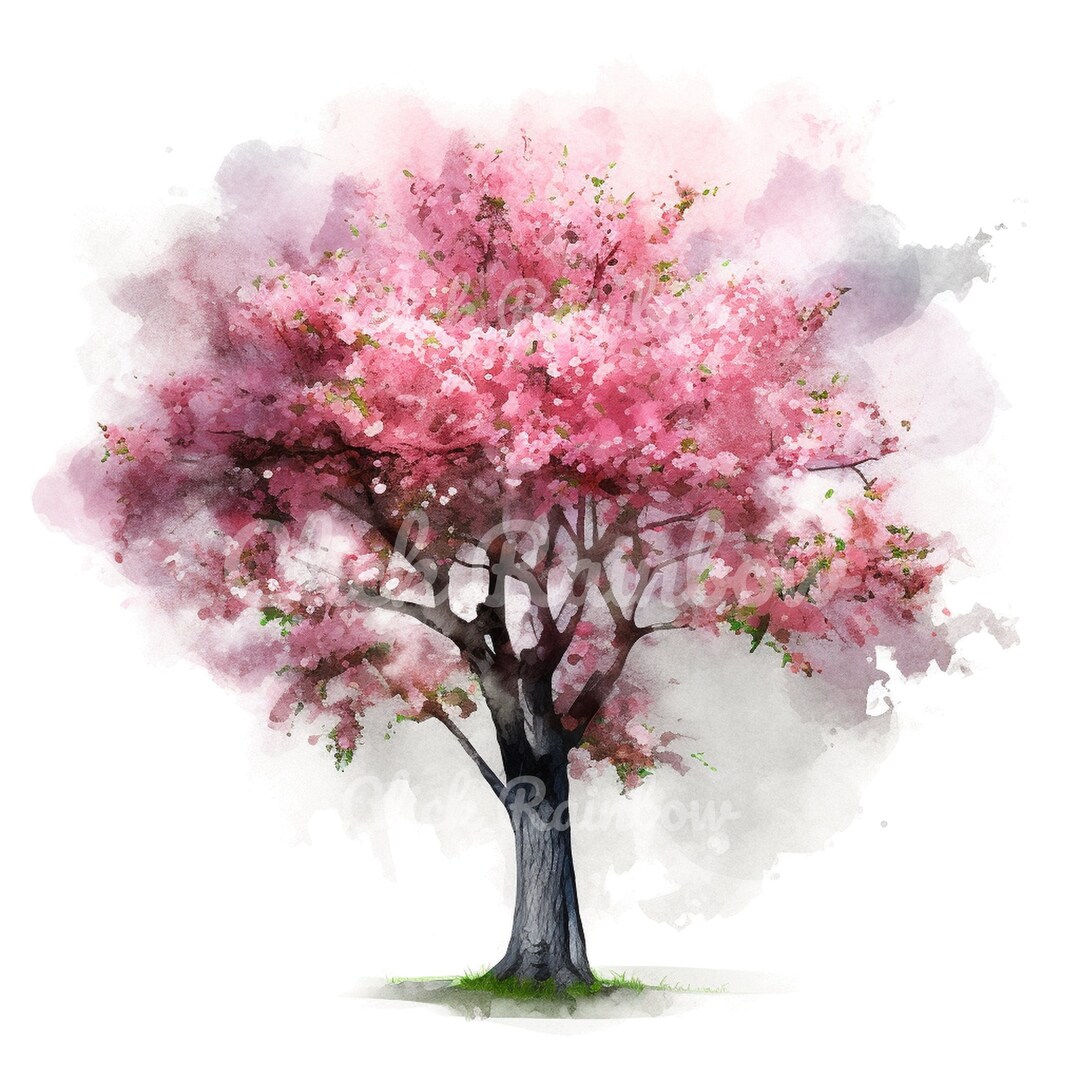Cherry Blossom Tree Clipart, 12 Cherry Tree PNG, Cherry Tree Art ...