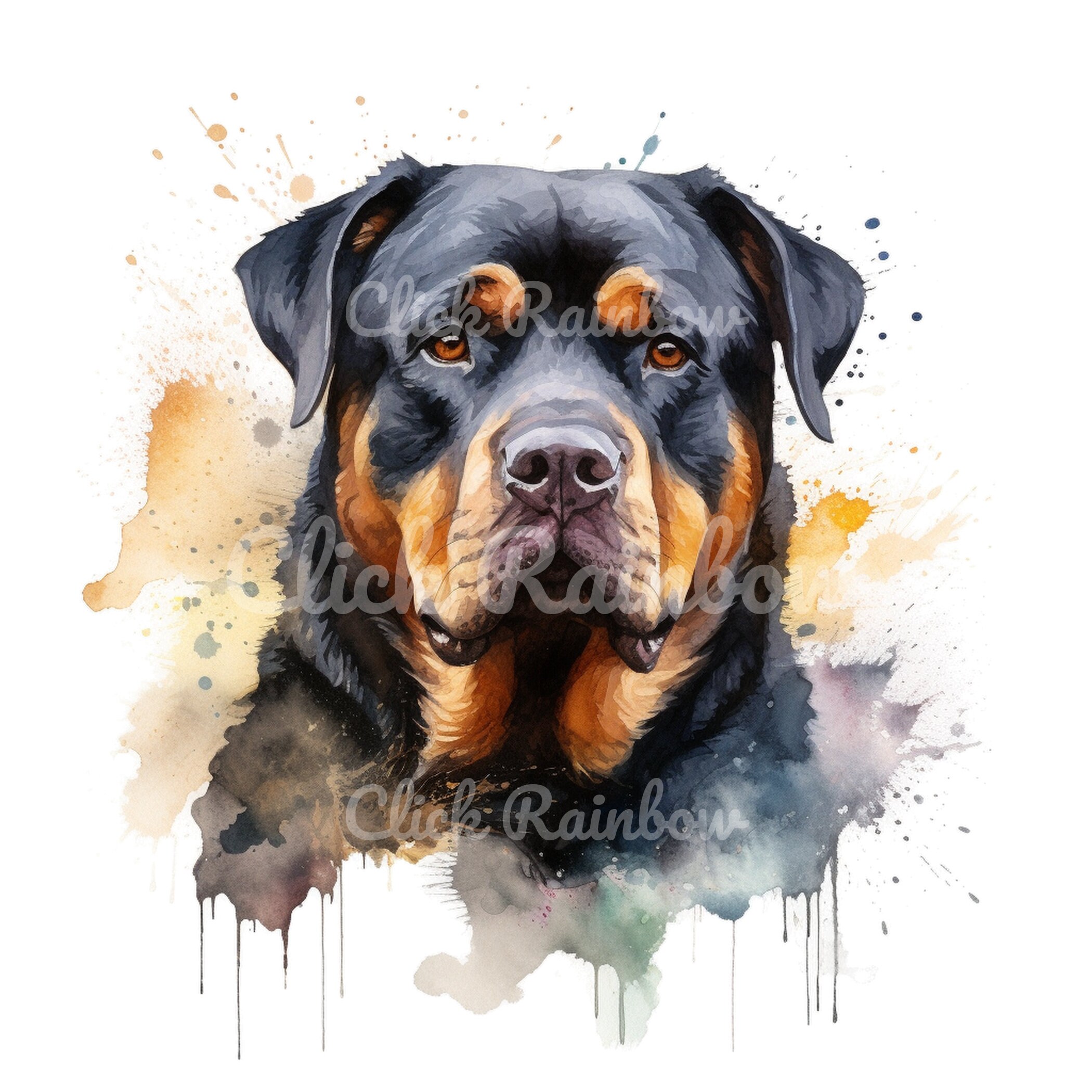 Rottweiler Clipart, 12 Rottweiler PNG, Rottweiler Canvas, Rottweiler ...