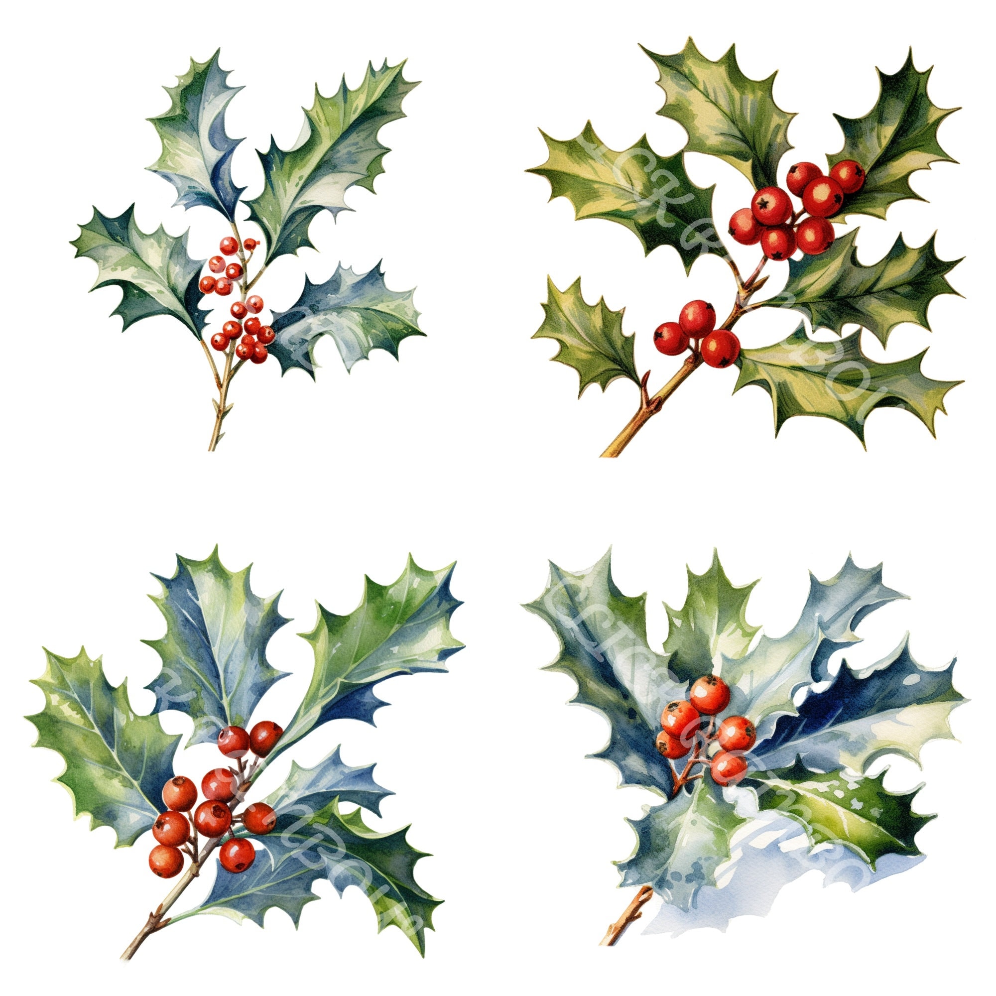 Holly Sprig Clipart, 12 High-quality PNG, Christmas Printablre ...