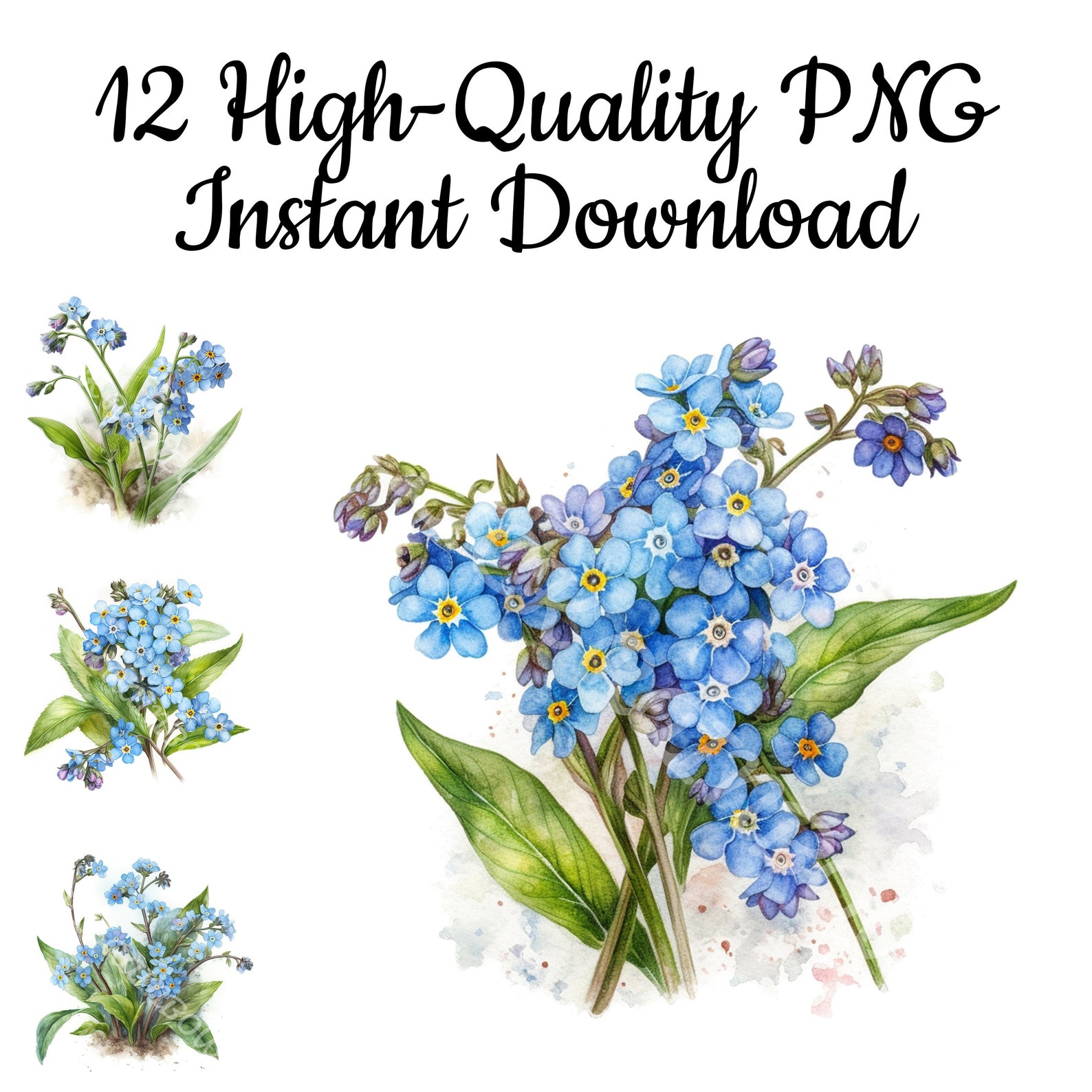 Forget Me Nots Clipart, 12 Forget Me Nots PNG, Forget Me Nots Art Print ...