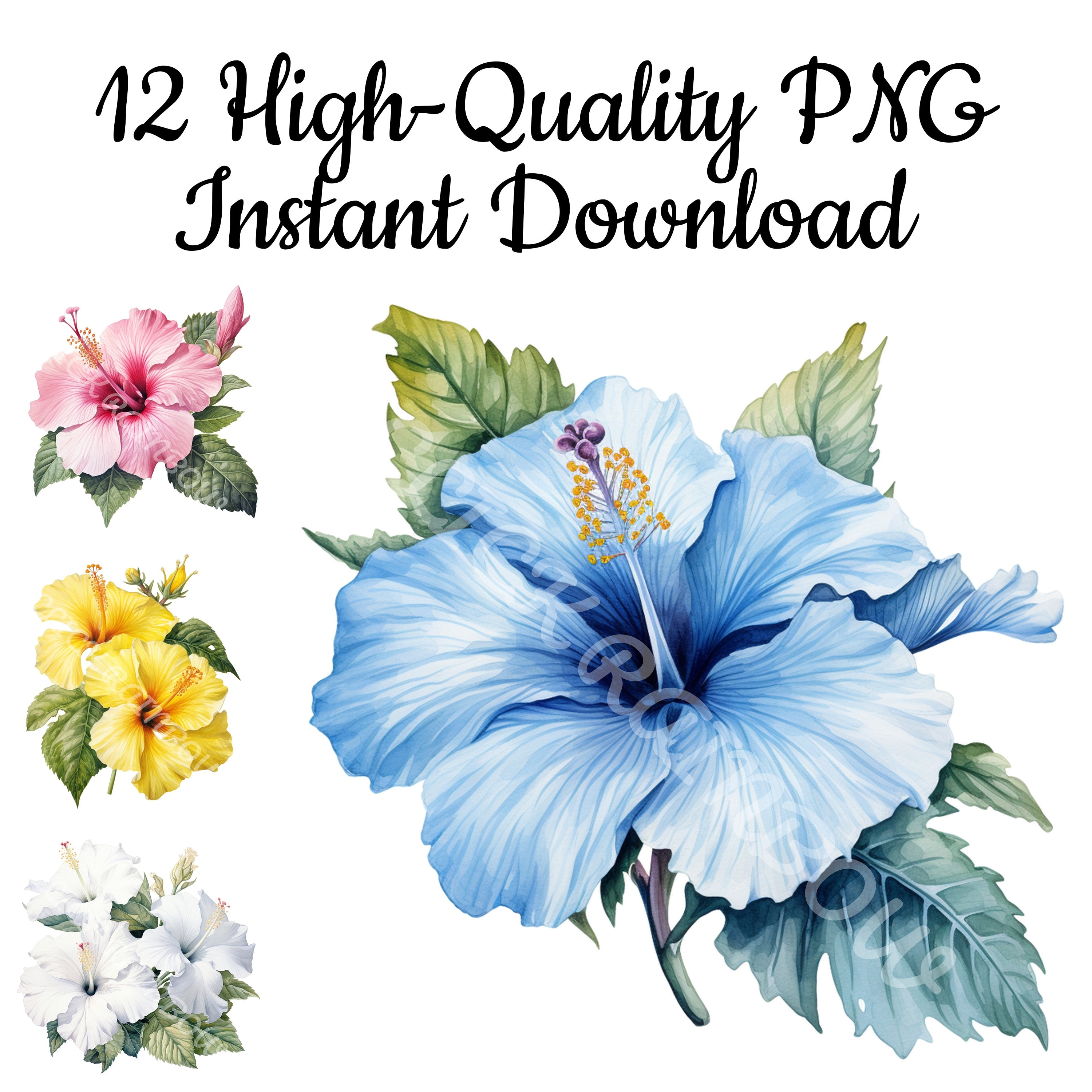 Blue Hibiscus Flower Clip Art