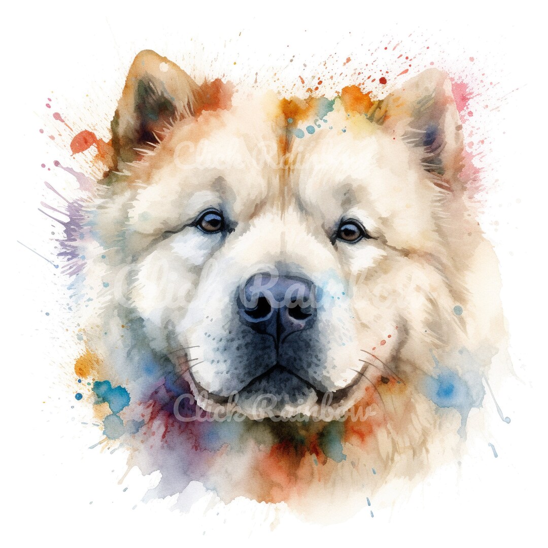 White Chow Chow Clipart, 12 Chow Chow PNG, Chow Chow Watercolor, Chow ...