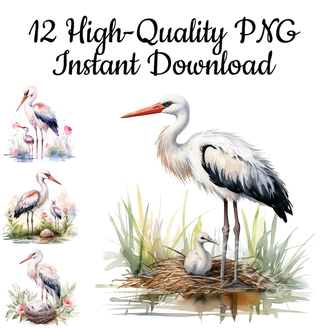 Stork With Babies Clipart, 12 Stork PNG, Stork Illustration, Stork Art ...