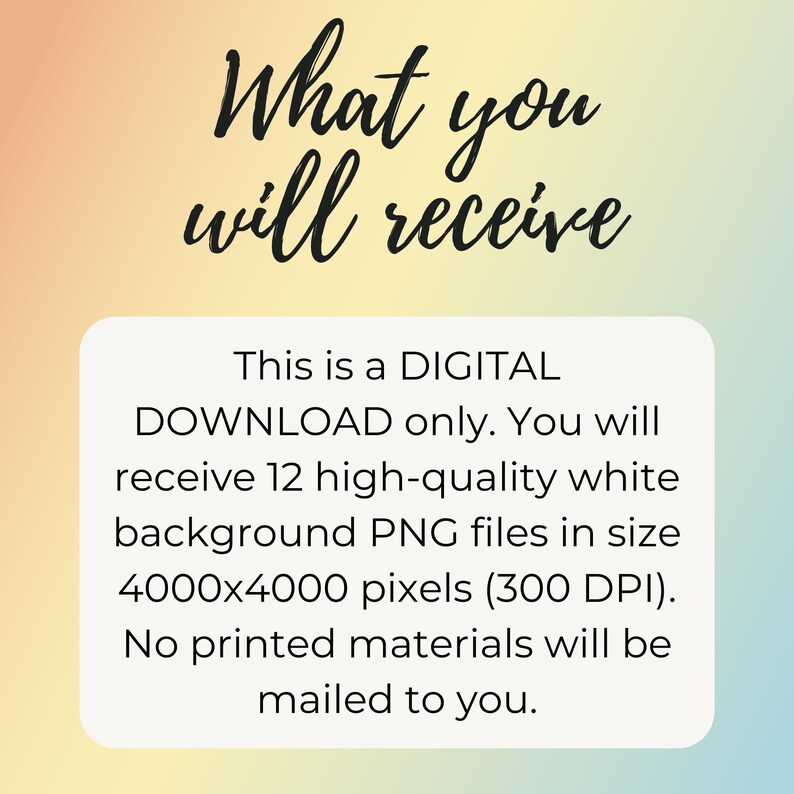 Poutine Clipart, 12 Poutine PNG, Quebec Food Illustration, Poutine ...