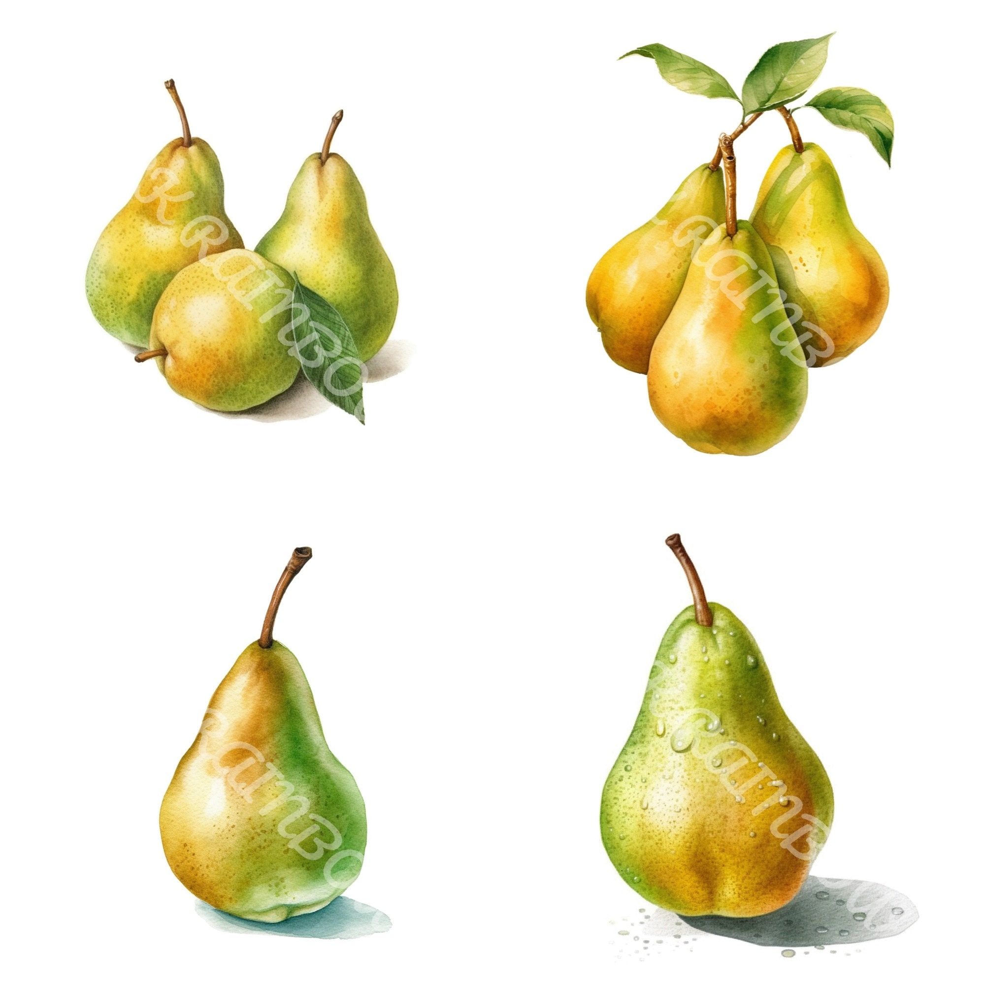 Pear Clipart, 12 Pear PNG, Pear Watercolor, Pear Canvas, Digital Pear ...