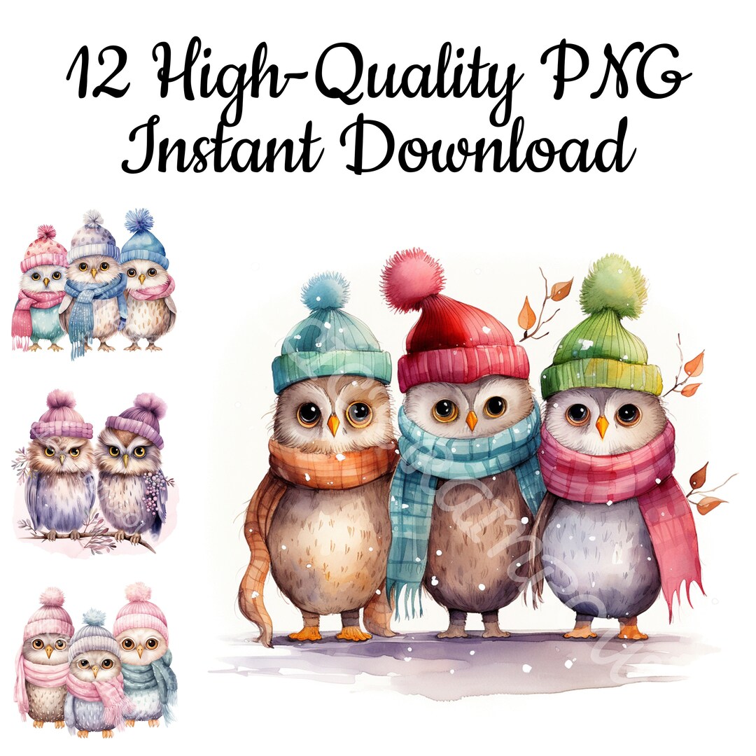 Winter Owls Watercolor Clipart, Cute PNG, Christmas Card (instant ...