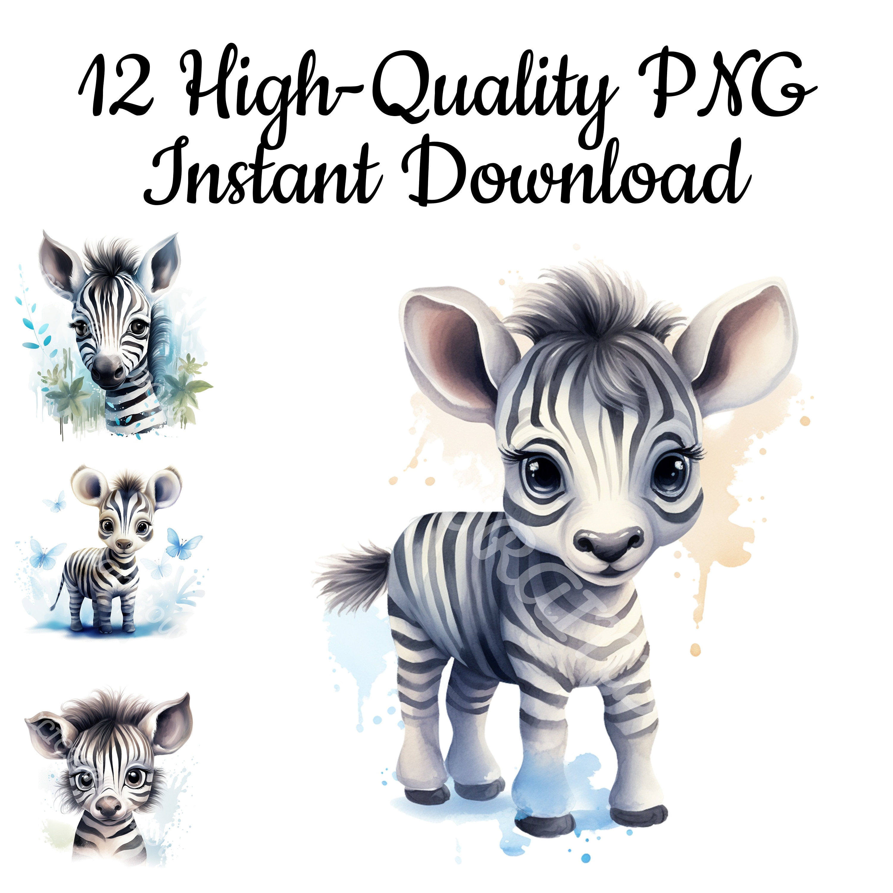 Cute Baby Zebra Clipart, 12 Kawaii Zebra PNG, Foal Watercolor, Zebra ...