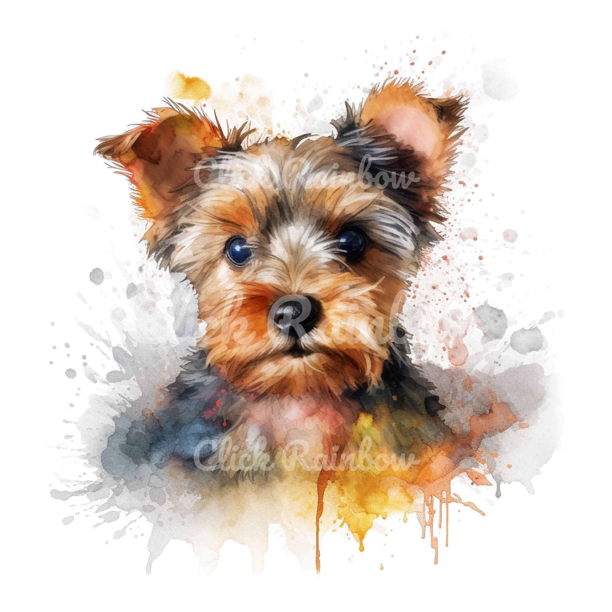 Yorkshire Terrier Puppy Clipart, 12 Yorkie PNG, Yorkie Illustration ...