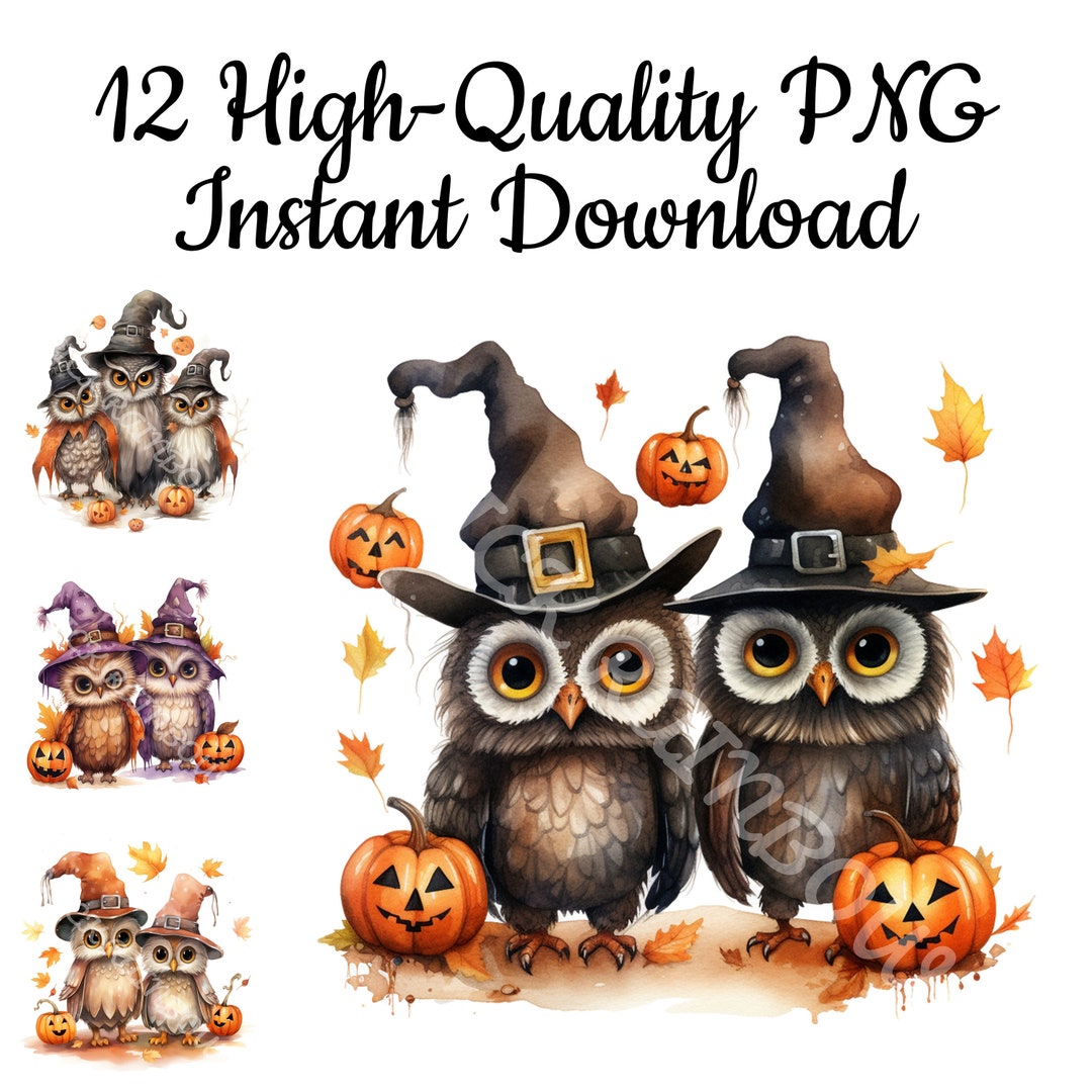 Halloween Owl Clipart: 12 PNG Illustrations (instant Download) - Etsy