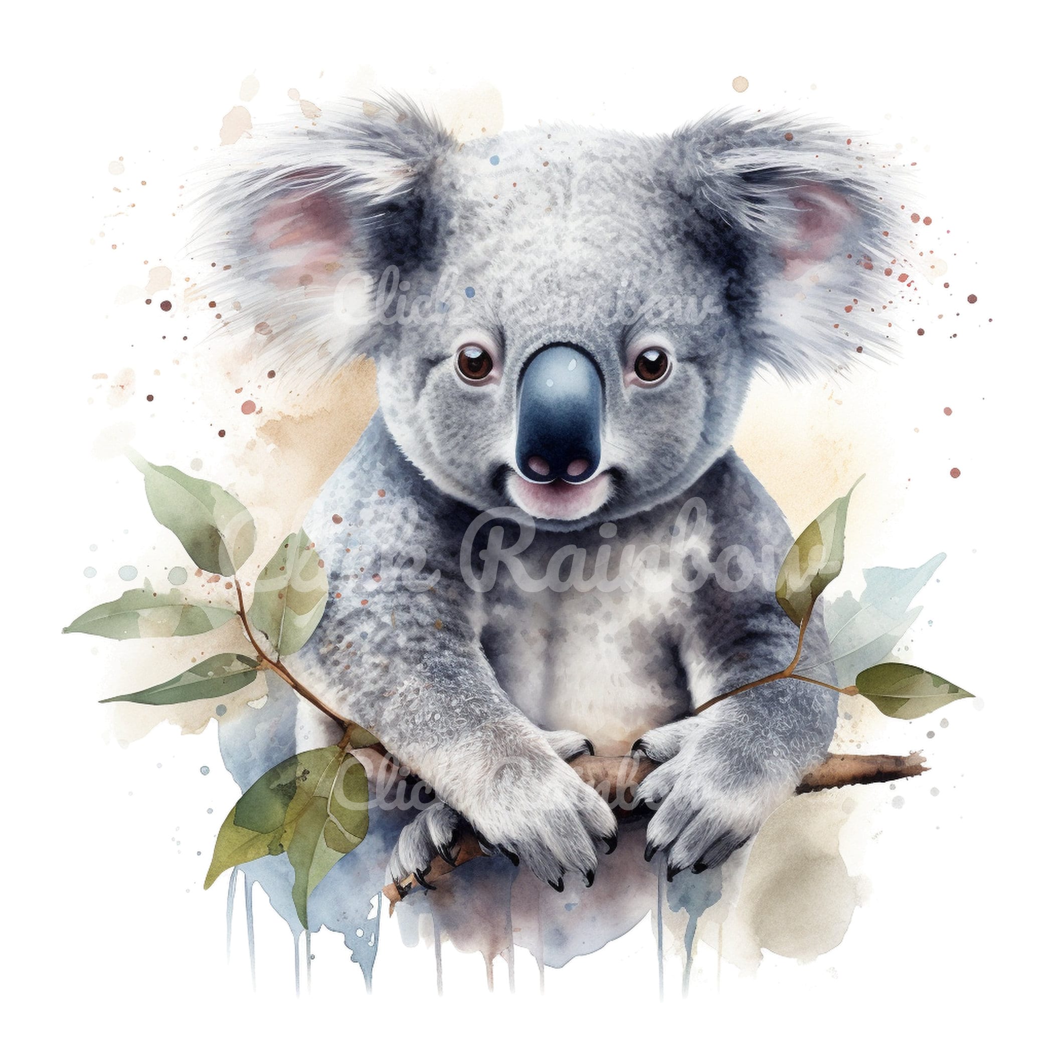 Koala Clipart, 12 Koala PNG, Koala Canvas, Koala Sublimation, Koala ...