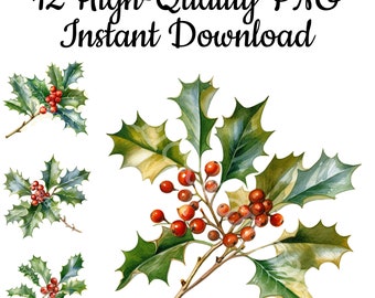 Christmas Holly Sprig Clipart: 12 PNG Illustrations (instant Download ...