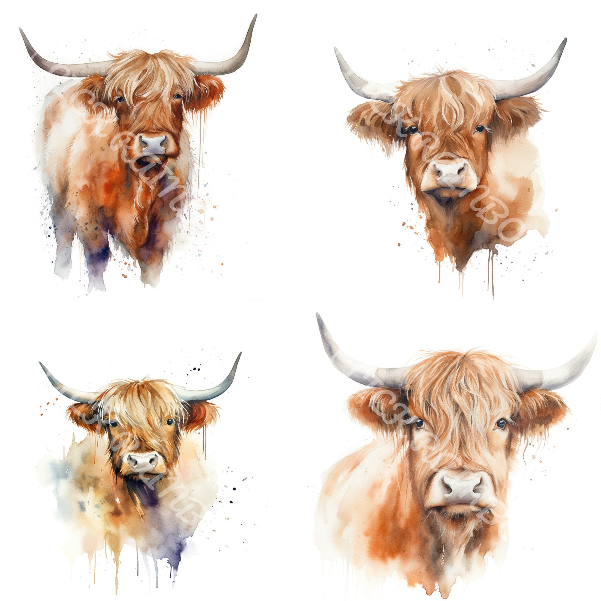 Highland Cow Watercolor Clipart: 12 PNG Illustrations (digital Download ...