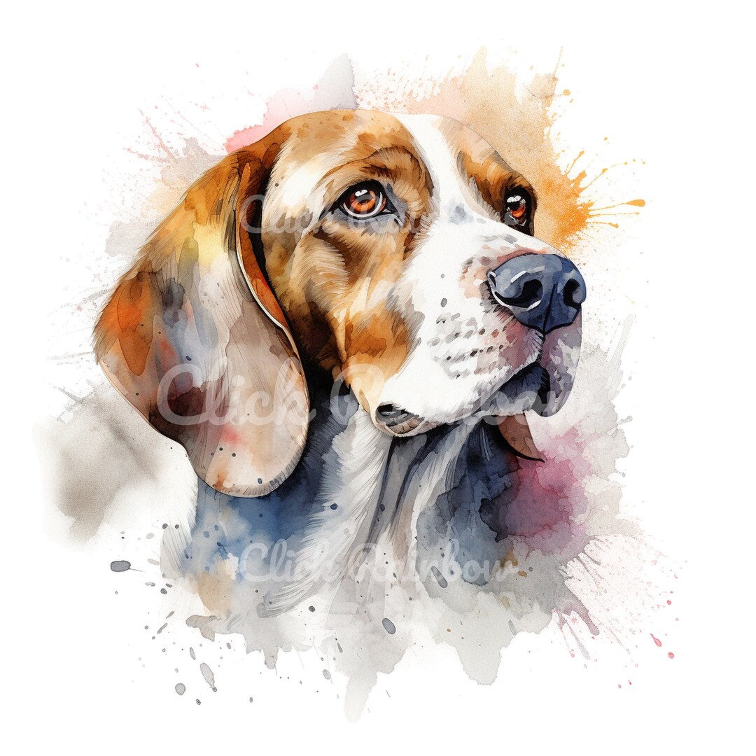 Beagle Clipart, 12 Beagle PNG, Beagle Illustration, Beagle Painting ...