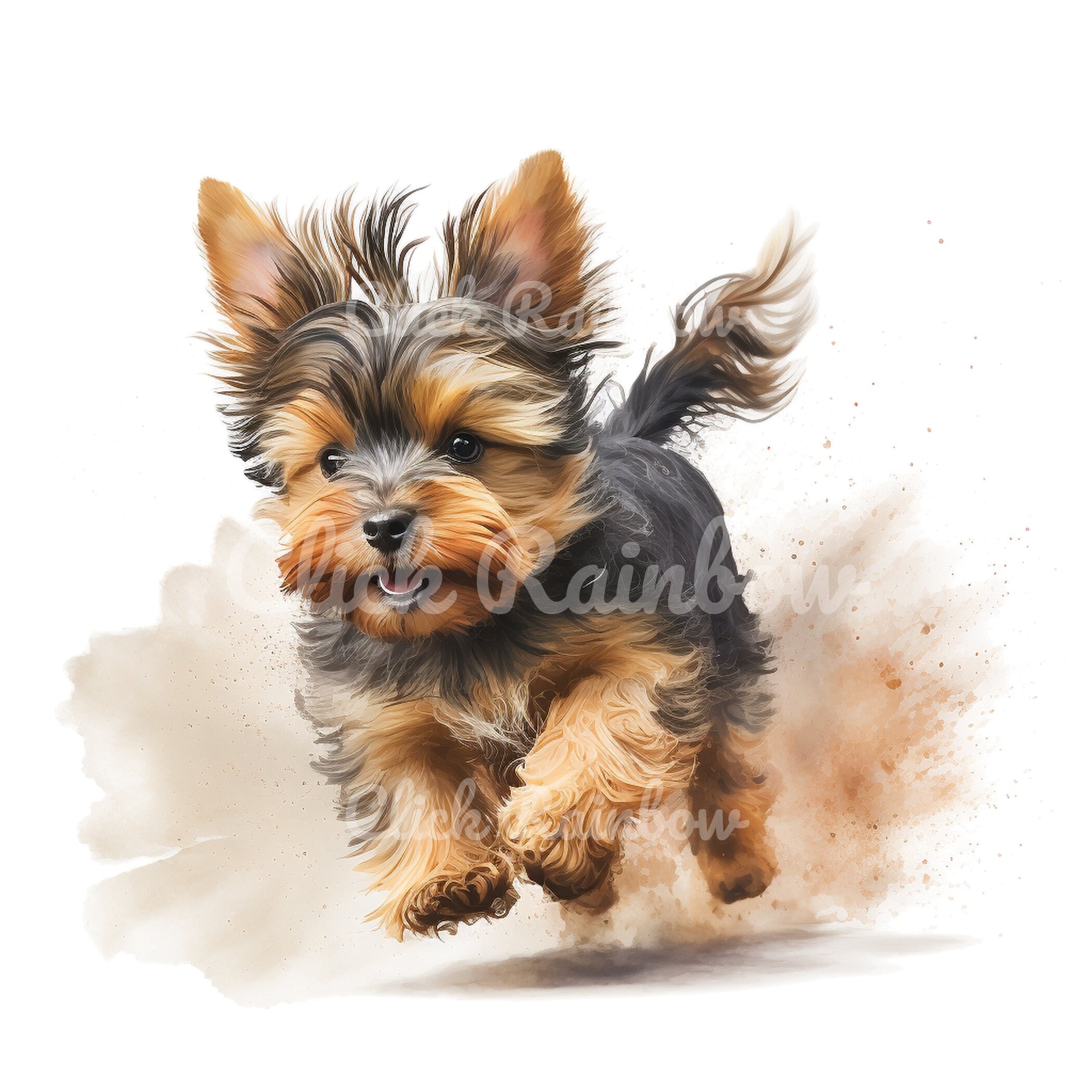 Yorkshire Terrier Puppy Clipart, 12 Yorkie PNG, Yorkie Illustration ...