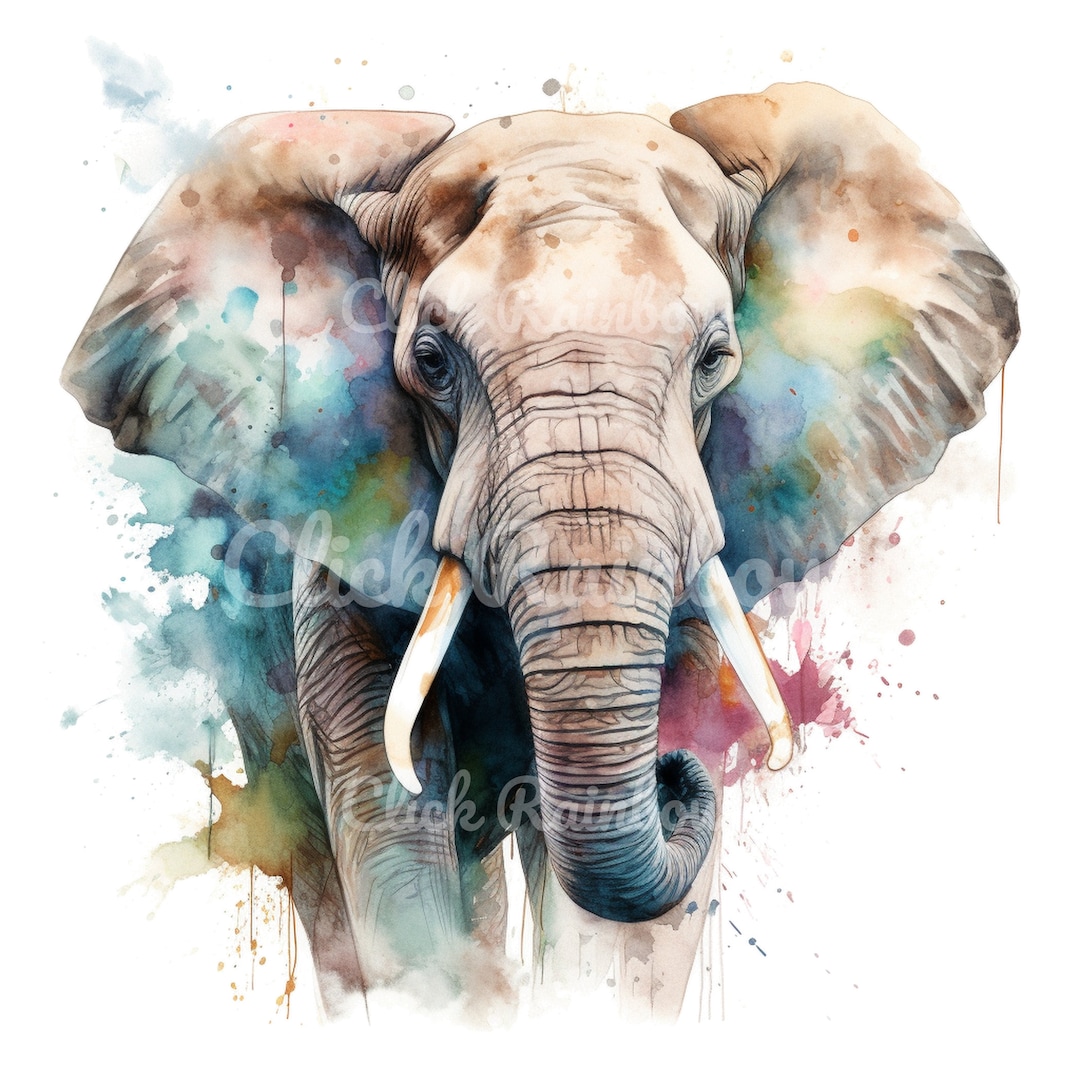 Elephant Watercolor Clipart: 12 PNG Illustrations (instant Download) - Etsy