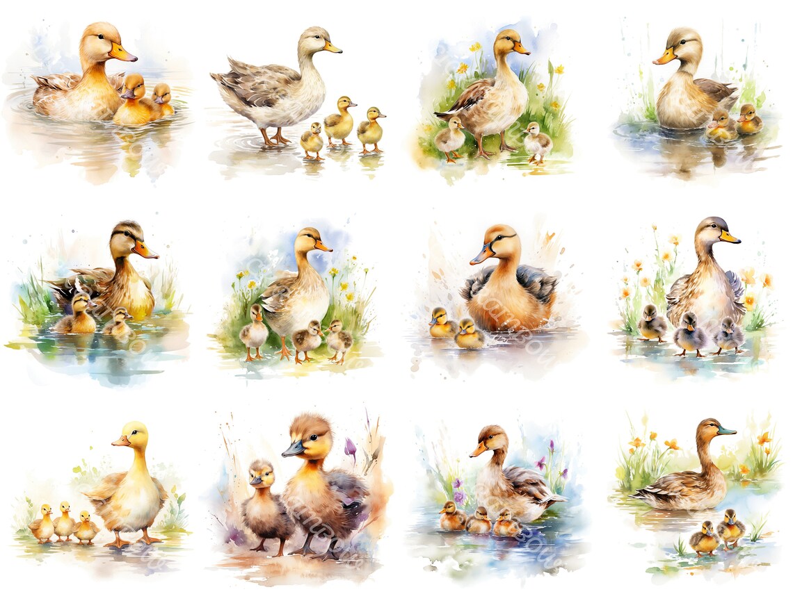 Ducklings Clipart 12 High-quality PNG Baby Duck Printable - Etsy