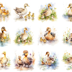 Ducklings Clipart 12 High-quality PNG Baby Duck Printable - Etsy