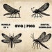 Mayfly SVG Bundle, Mayfly Clipart, Hand Drawn Insect Theme Vector ...
