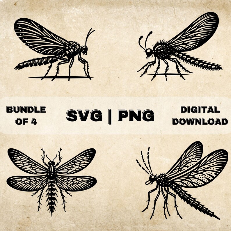 Mayfly SVG Bundle, Mayfly Clipart, Hand Drawn Insect Theme Vector ...