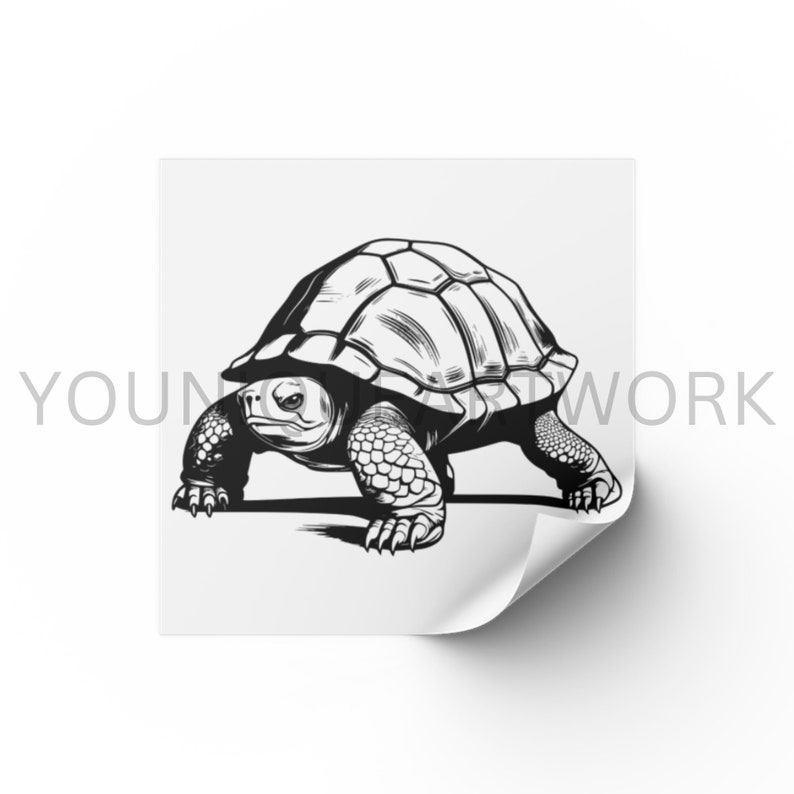 Tortoise SVG Bundle, PNG, Tortoise Clipart, Hand Drawn Tortoise Vector ...