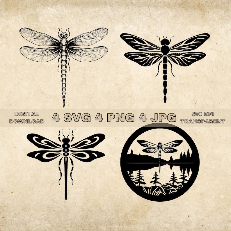 Dragonfly SVG Bundle, PNG, Dragonfly Clipart, Hand Drawn Dragonflies ...