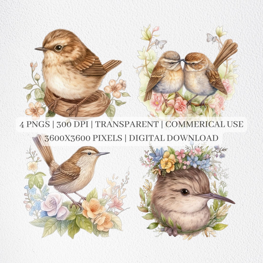 Wren Clipart, Birds PNG Files for Sublimation, Floral Bird Clip Art ...