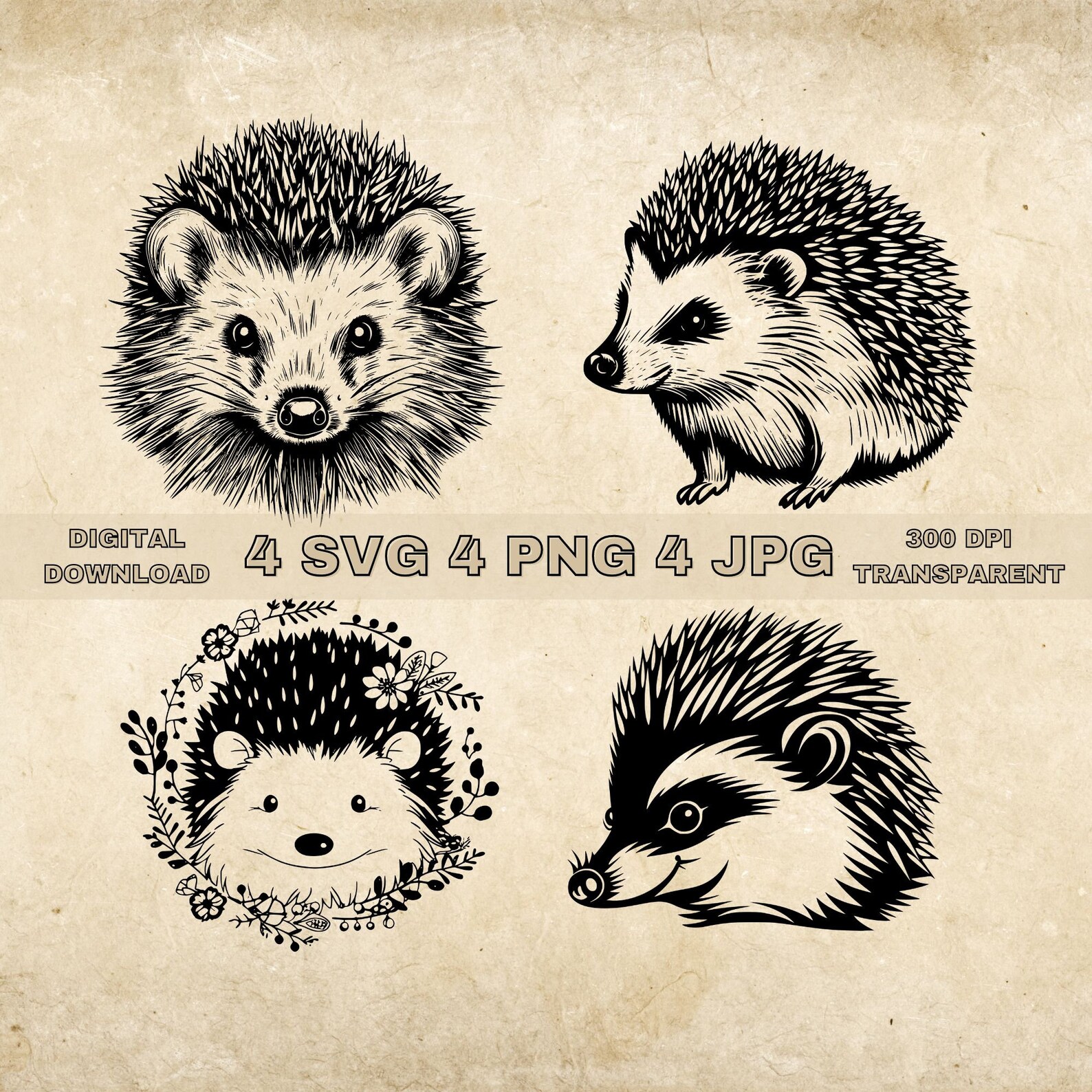 Hedgehog SVG Bundle PNG Hedgehog Clipart Hand Drawn - Etsy