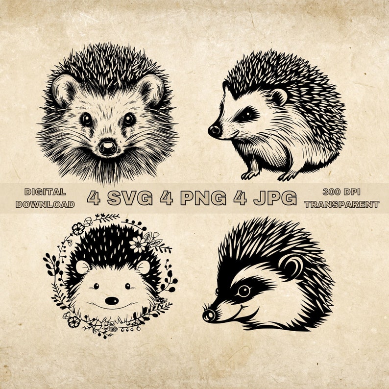 Hedgehog SVG Bundle, PNG, Hedgehog Clipart, Hand Drawn Hedgehog Vector ...