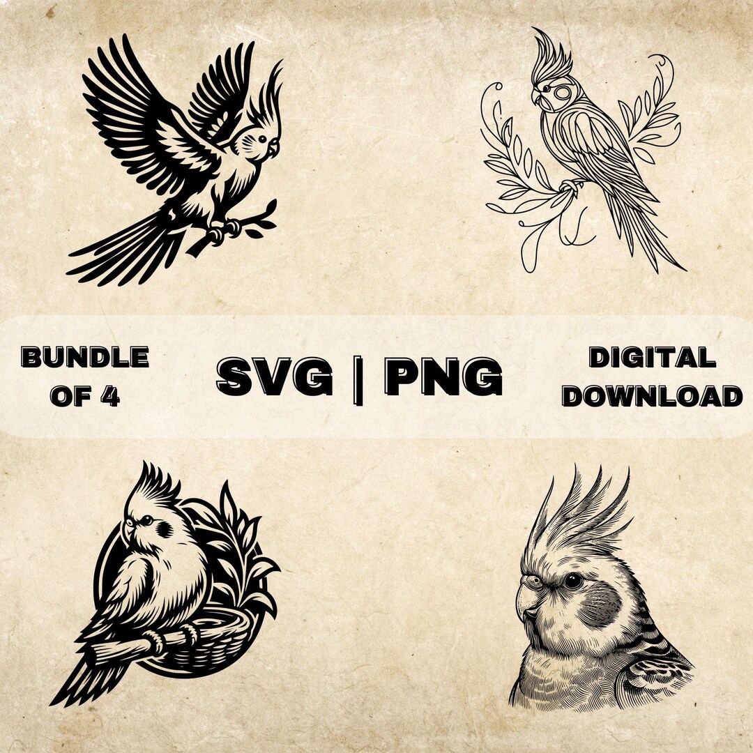 Cockatiel SVG Bundle, Parrot Clipart, Hand Drawn Bird Owner Theme ...