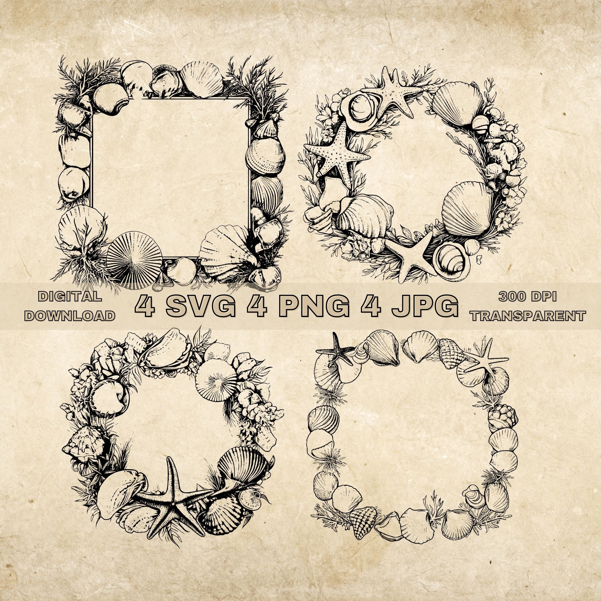 Seashell Frame SVG Bundle, PNG, Nautical Frame Clipart, Hand Drawn ...