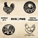 Chicken SVG Bundle, Farm Animal Clipart, Hand Drawn Chicken Lover Theme ...