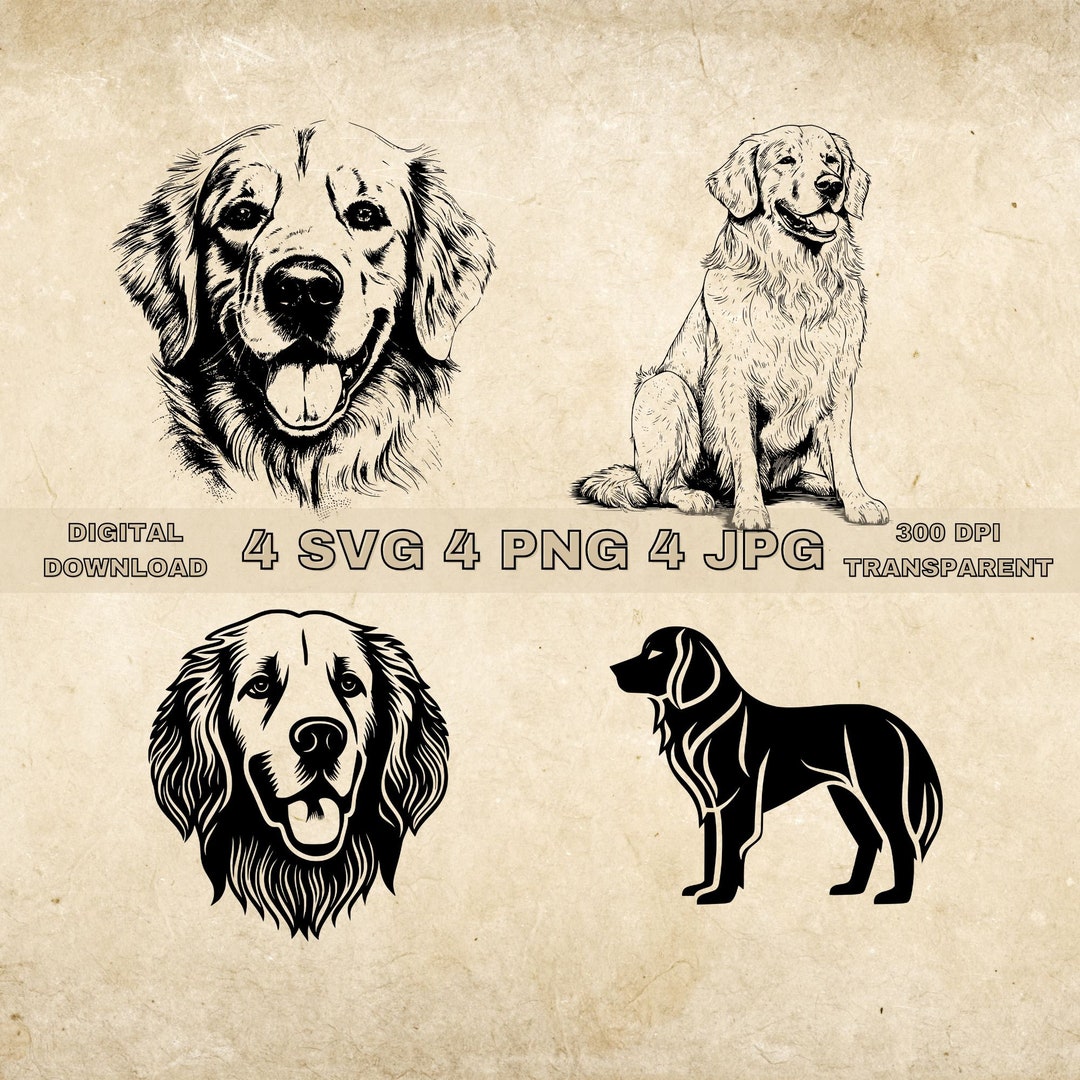 Golden Retriever SVG Bundle, PNG, Cute Dogs Clipart, Hand Drawn Dog ...