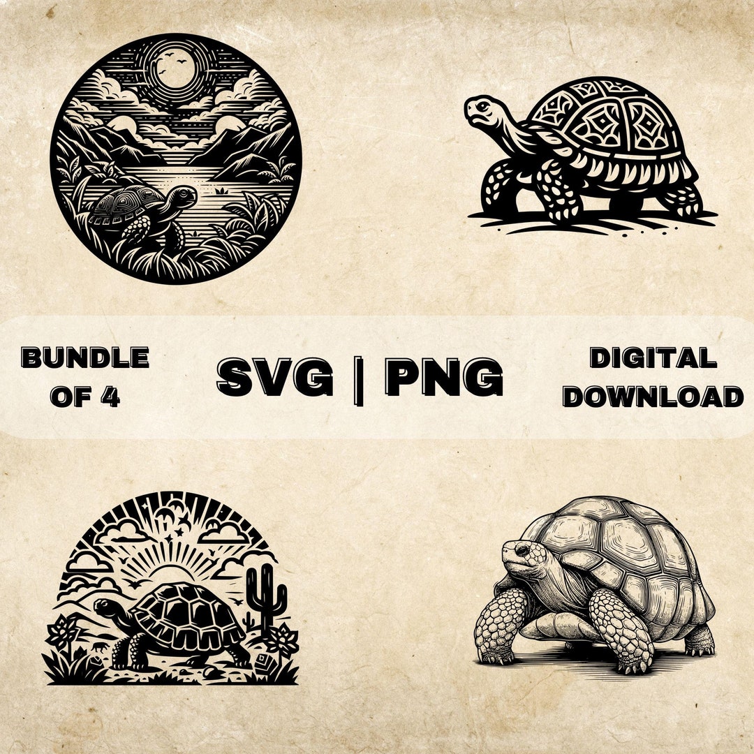Tortoise SVG Bundle, Turtle Clipart, Hand Drawn Tortoise Lover Theme ...