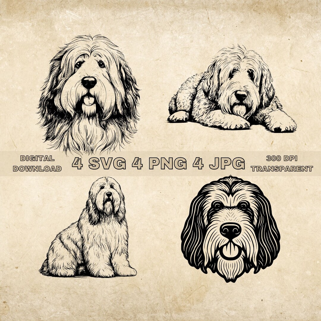 Old English Sheepdog SVG Bundle, PNG, Cute Dogs Clipart, Hand Drawn Dog ...